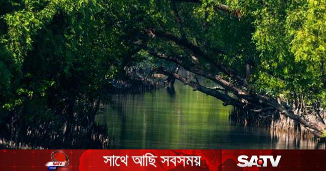 ভালোবাসা ও বসন্তের দিনে খুলনায় সুন্দরবন দিবসে ভিন্ন মাত্রা | SATV